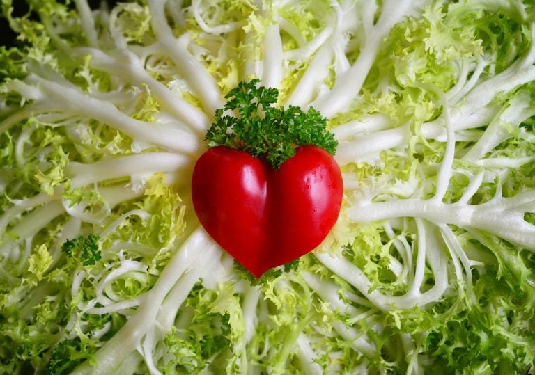 Vegan Diet Guide - Benefits, Guidelines, And Best Tips For Success