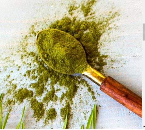 Amazing Grass Green Superfood Review - Is It Worth Buying?