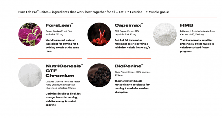 Burn Lab Pro Review - How Effective Is This Fat Burner?