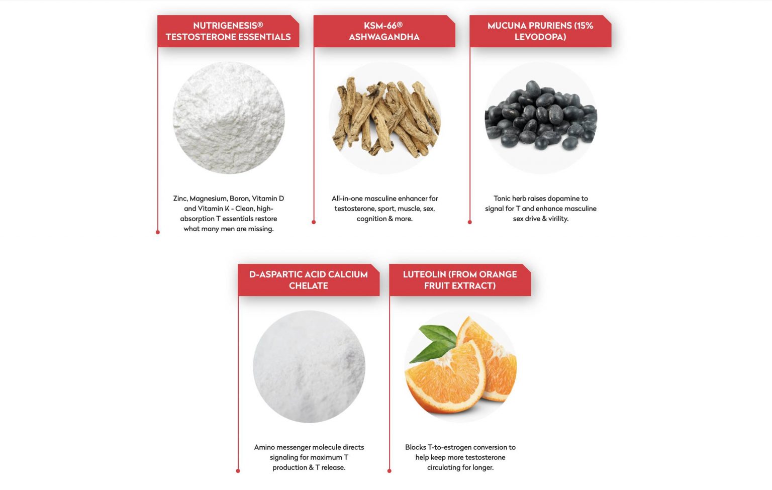 Testo Lab Pro Review - How Effective Is This Supplement?