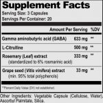 GABA Brain Food Review - Is This Supplement Effective?