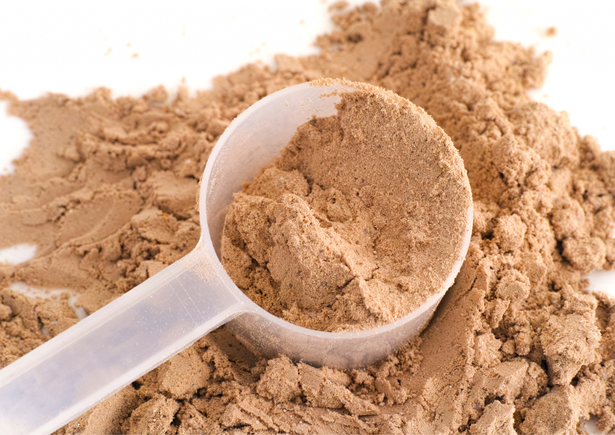 Best Soy Free Protein Powder - 4 Top Choices
